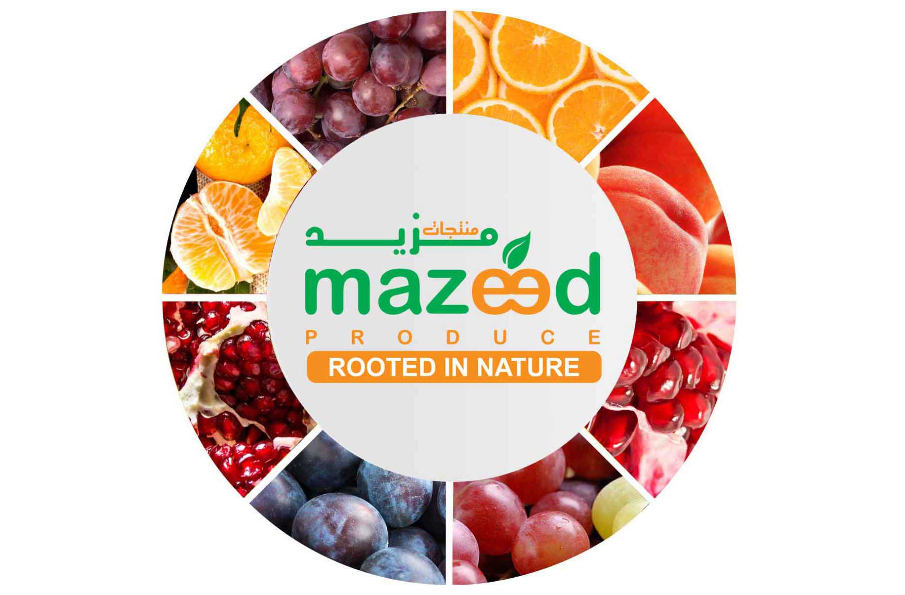 Vision , Mission & values | MAZEED PRODUCE